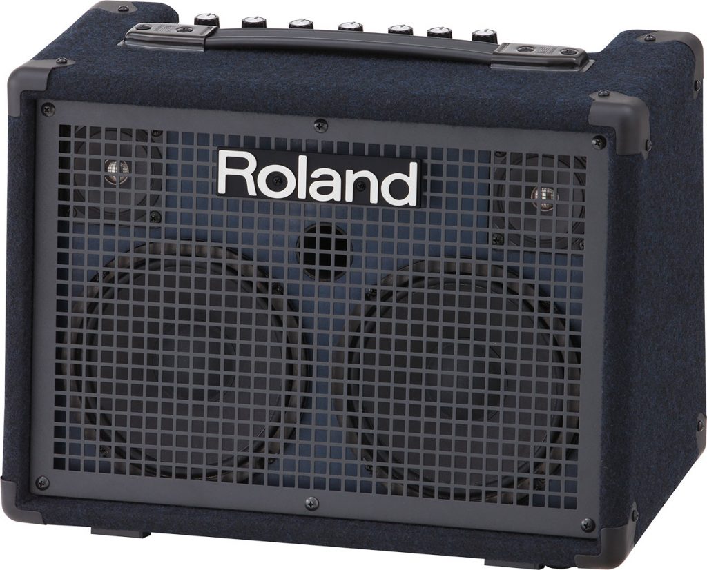 Which Battery Powered Amp Should I Choose? - Roland Resource Centre